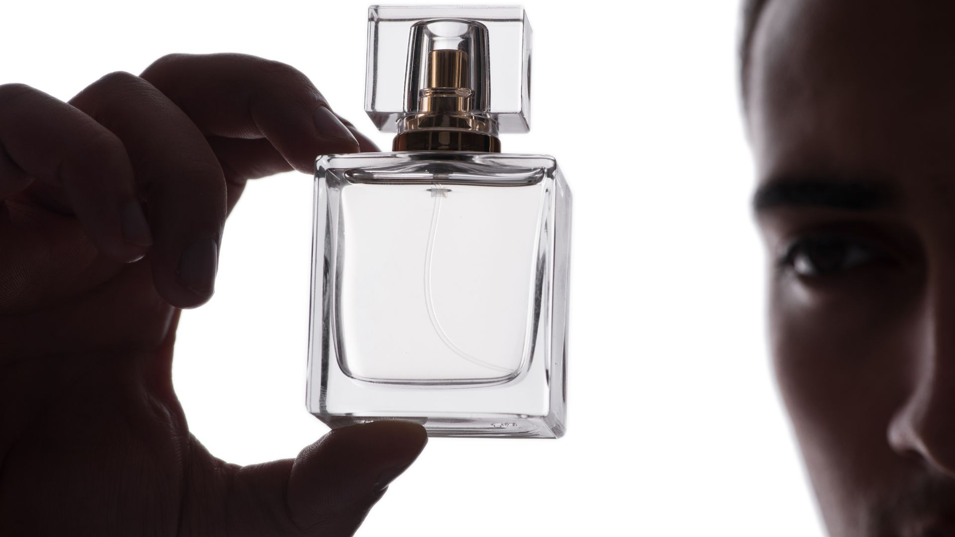Como identificar a Nota Olfativa de perfume - Melhor Perfume Masculino